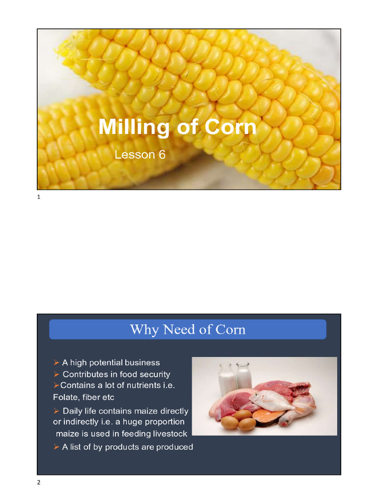 6. Miiling of Maize | PDF | Starch | Maize