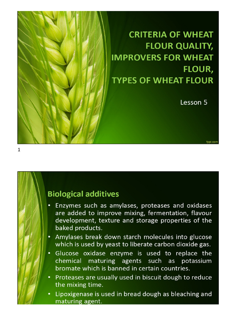 3. Wheat Flour Quality (1) | PDF | Flour | Rheology