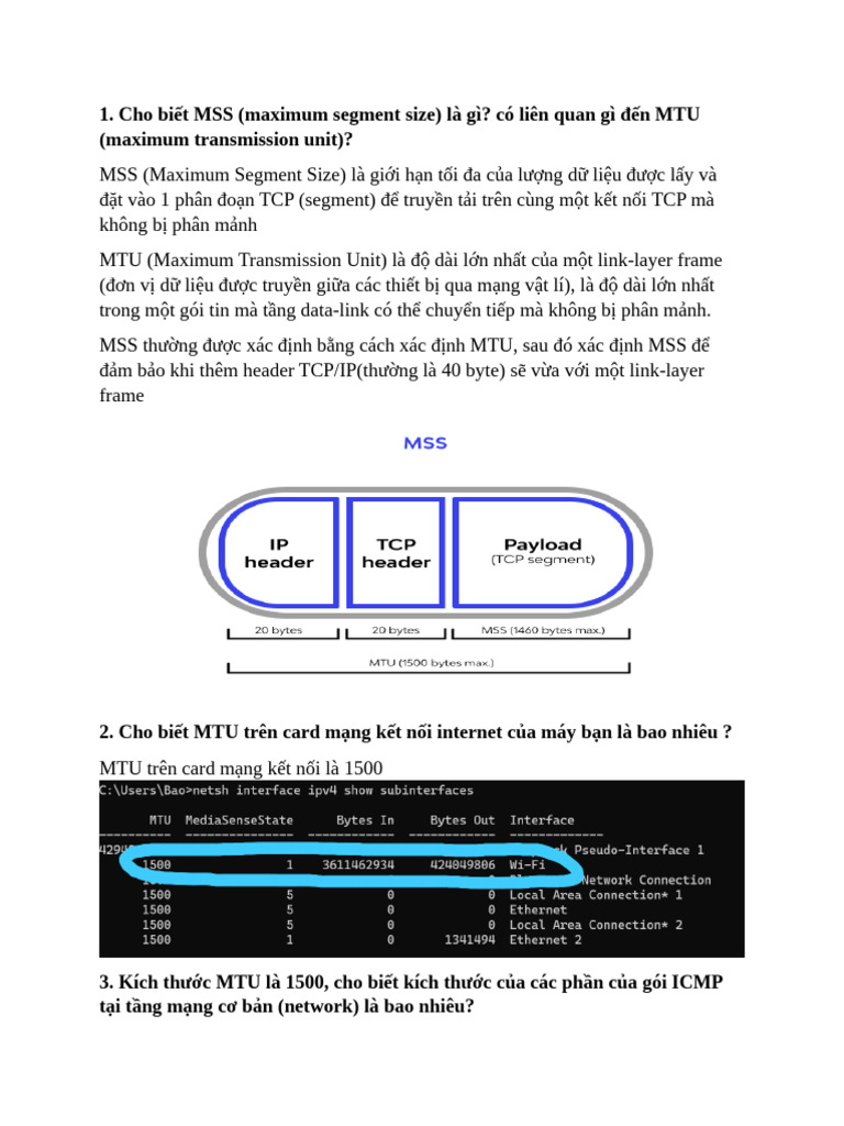 Wire Shark | PDF