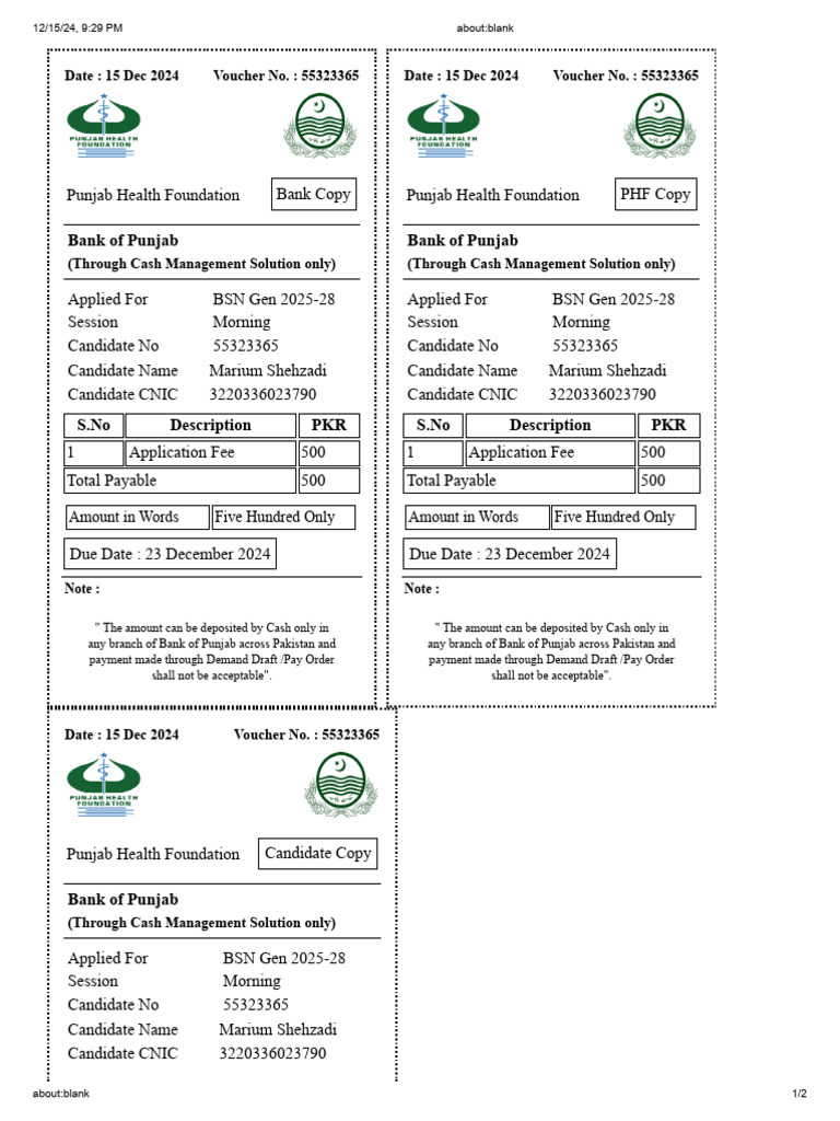 Challan Form BS Nursing | PDF | Banks | Business