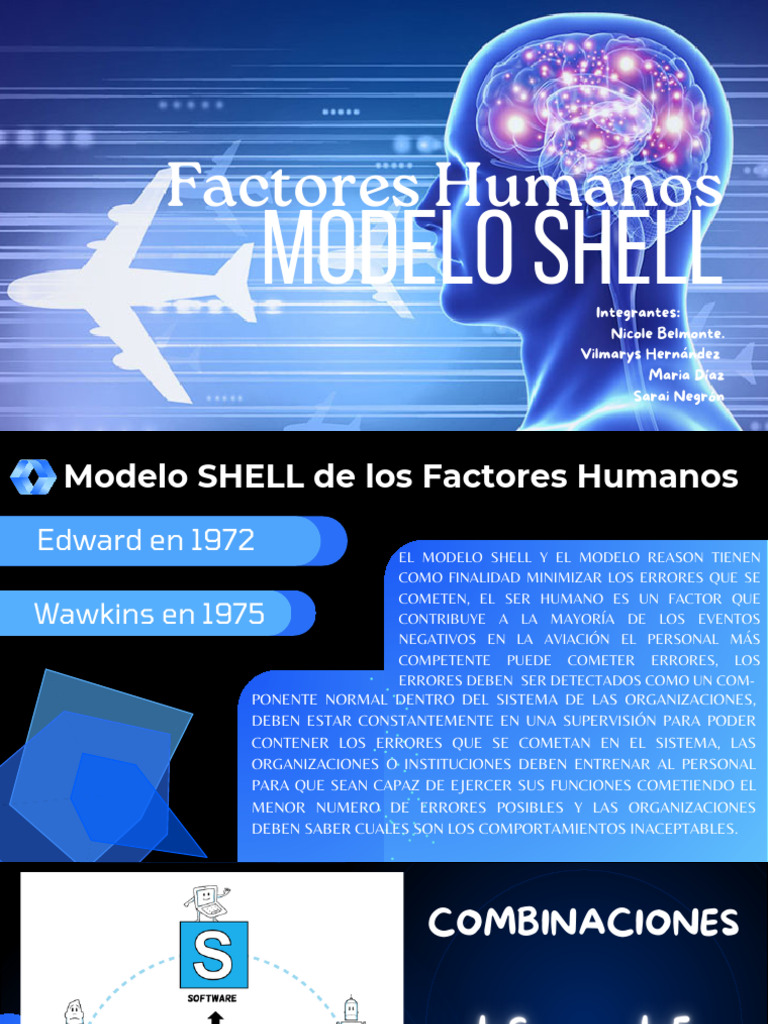 Modelo SHELL y Minimización de Errores | PDF