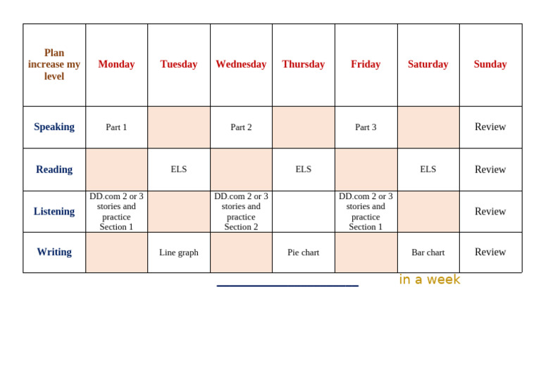 On A Daily Basis Plan | PDF