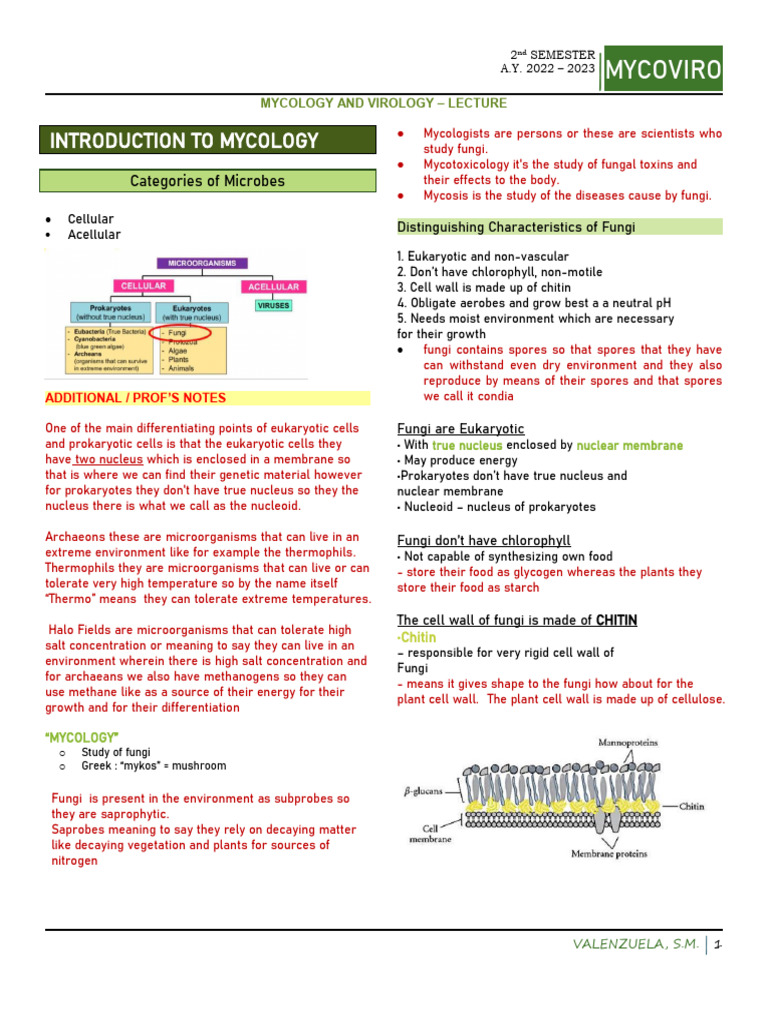Mycology and Virology Lecture Notes | PDF | Fungus | Cell (Biology)