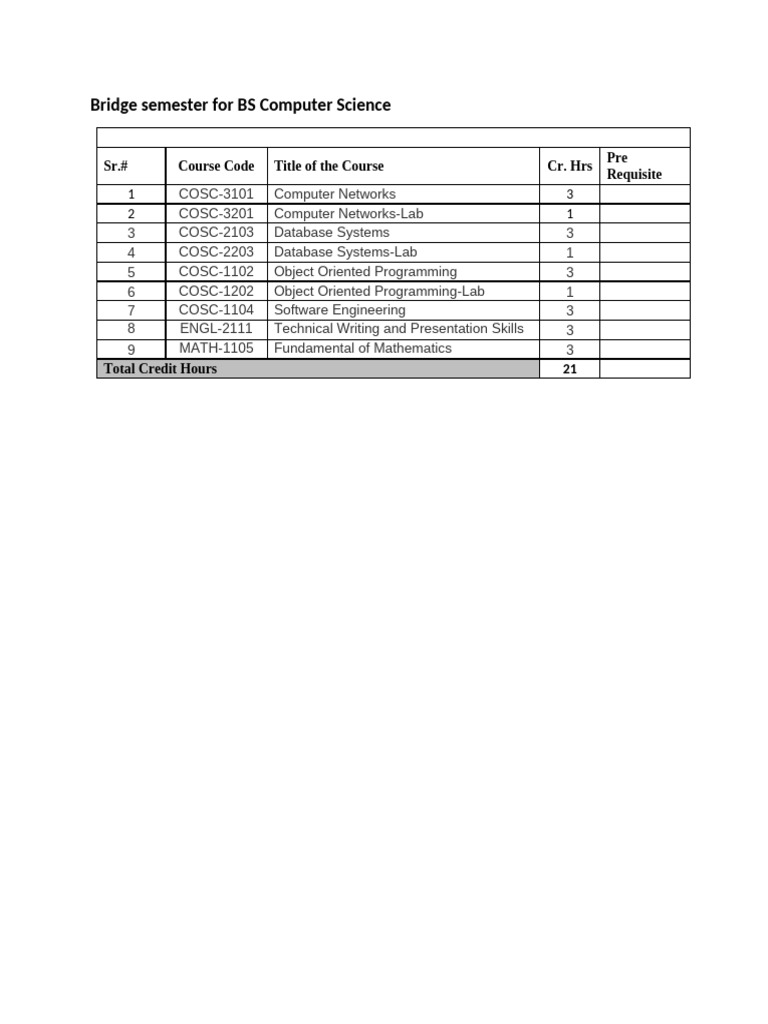 BS (CS) Bridge Semester Scheme | PDF