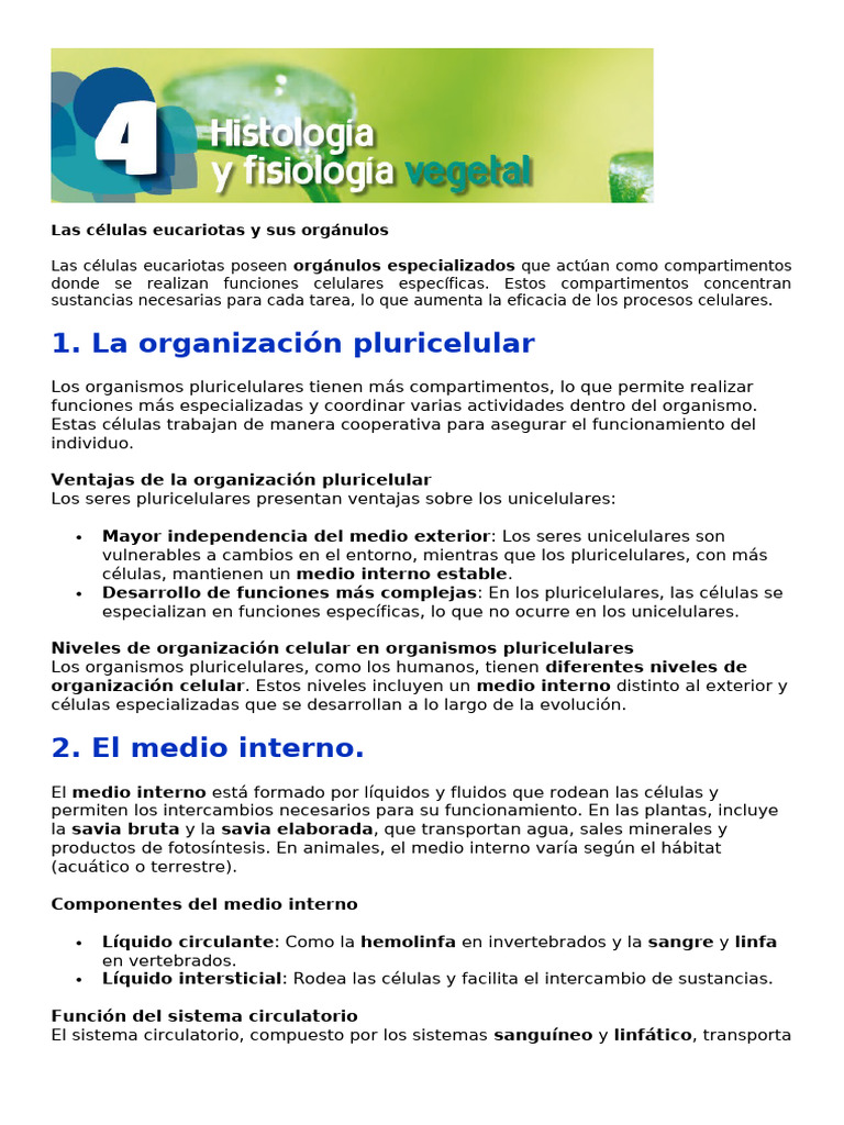 Biología Segundo | PDF | Embrión | Biología Celular)