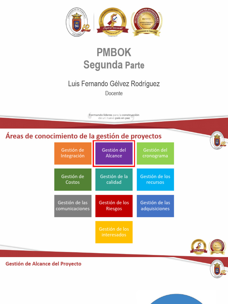 CLASE 8 - PMBOK Segunda Parte | PDF | Informática
