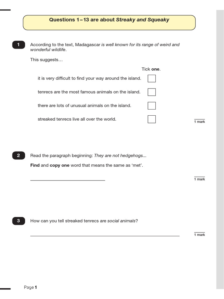Ks2 English 2024 Reading Answer Booklet | PDF