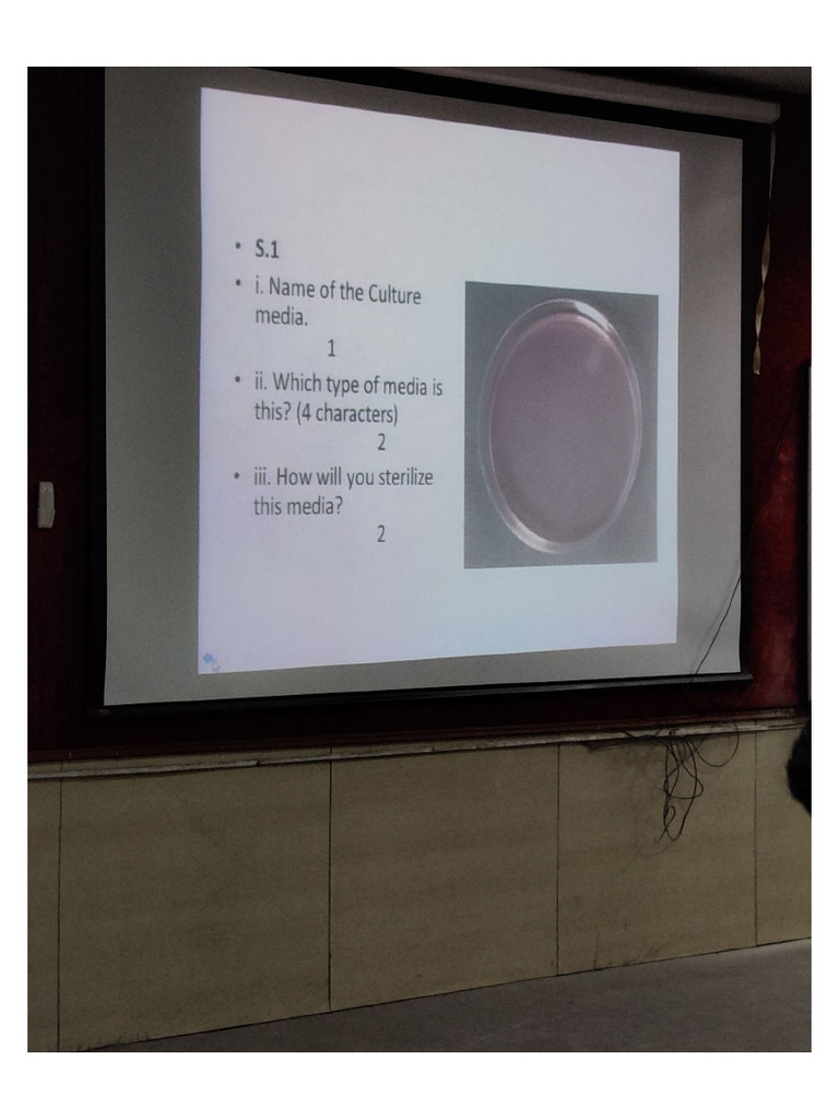 Microbiology Ospe Questions - 1 | PDF