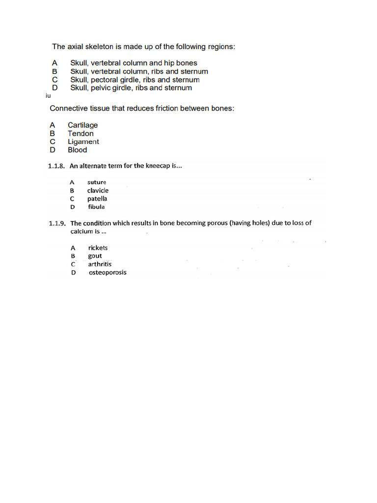 Skeletal System Prac Questions | PDF