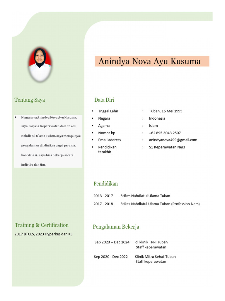 CV (Anindya Nova) | PDF