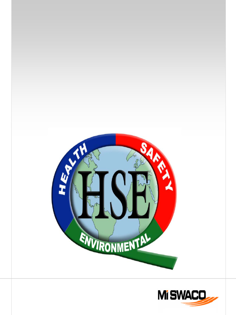 Safety Observation Programs Overview | PDF