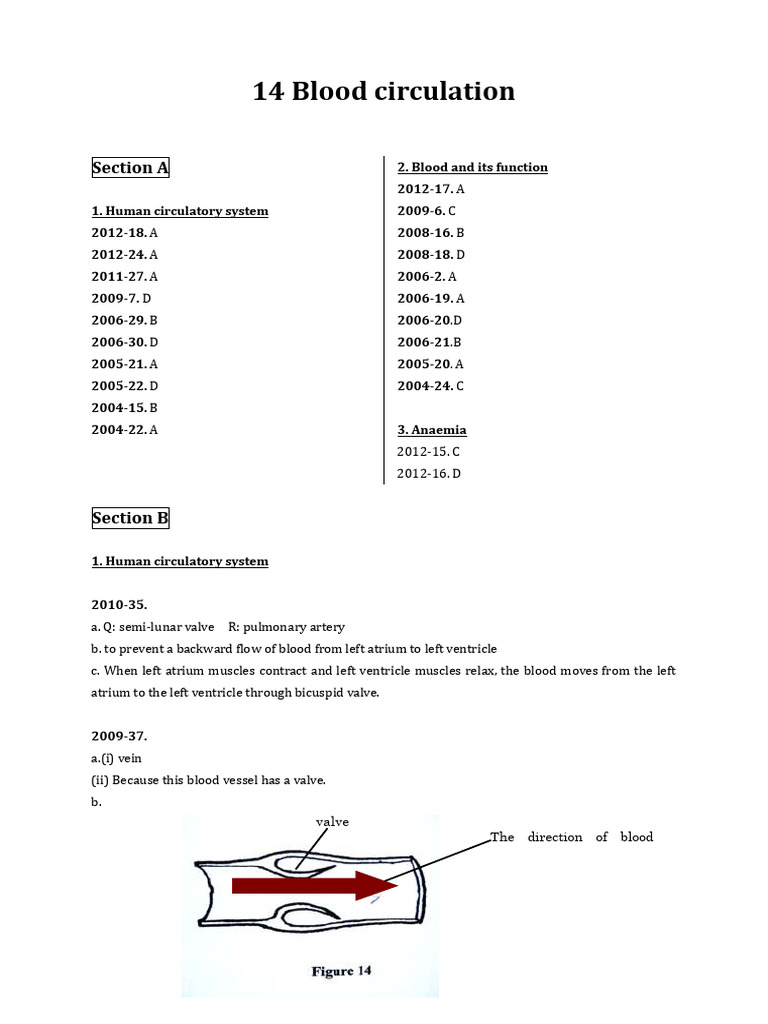 Ans_14Blood_circulation | PDF | Blood | Blood Vessel