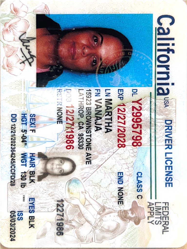 Driving Licenses | PDF