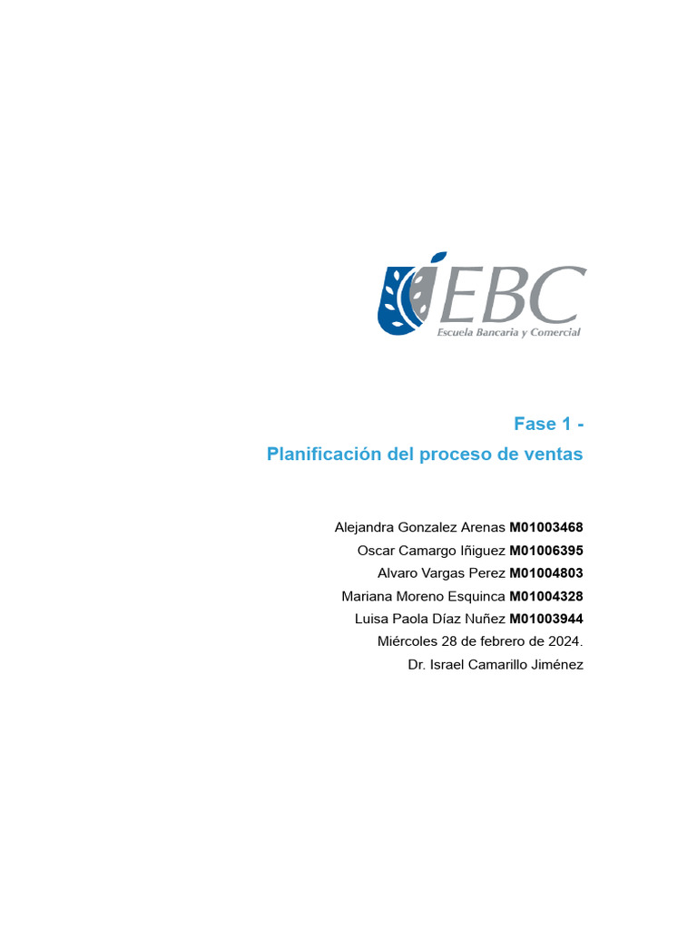 Proyecto Estrategias de Ventas | PDF | Marketing | Producto (Negocio)
