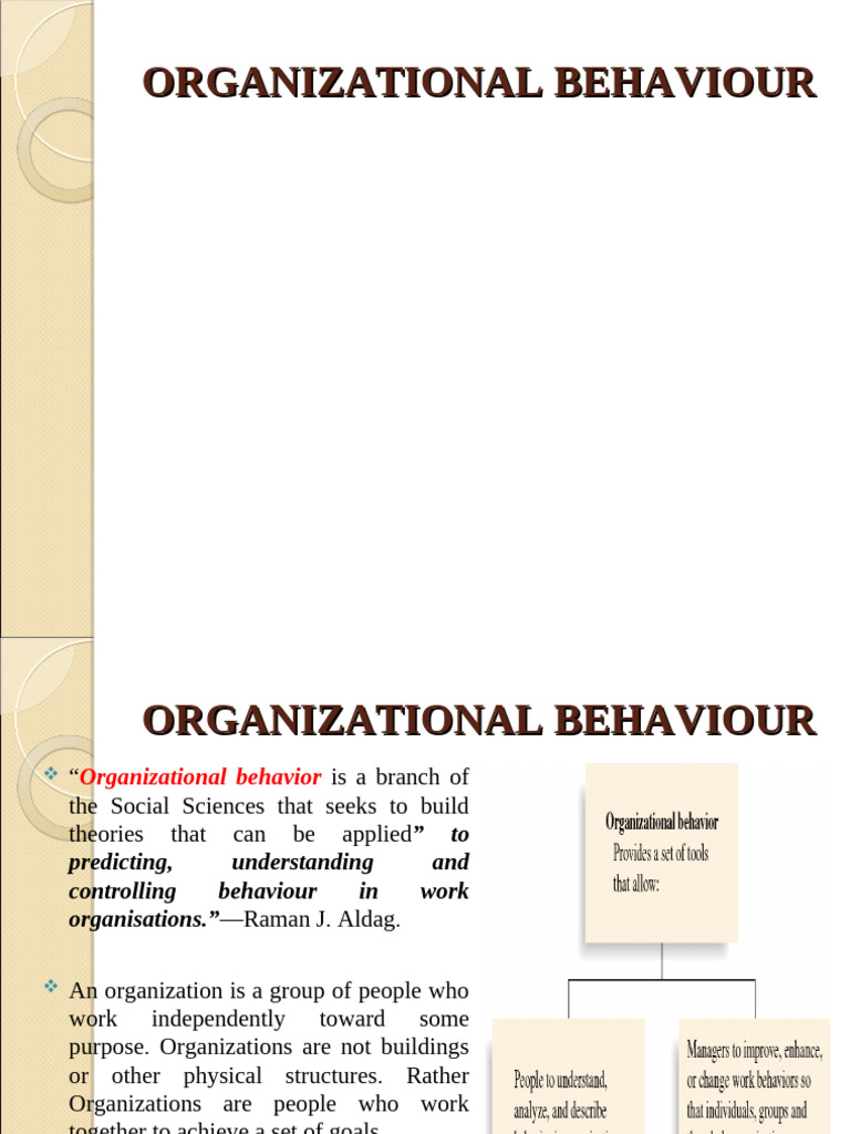 OB-2 | PDF | Perception | Behavior