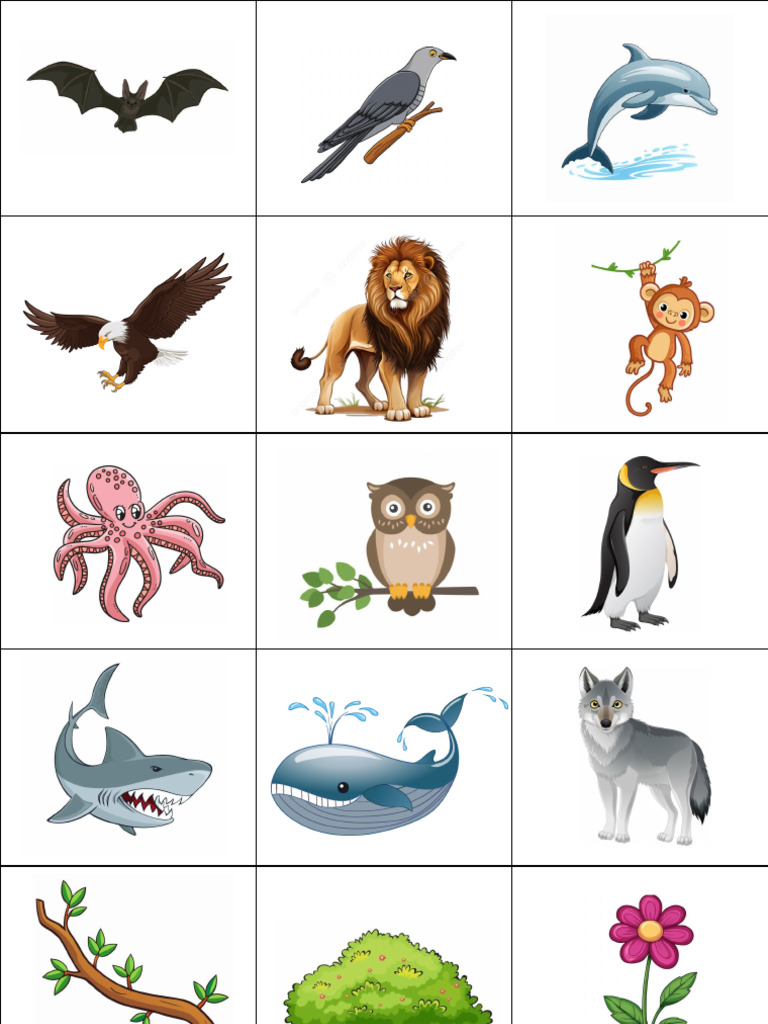 Steps Plus 6 Unit 3 Flashcards | PDF