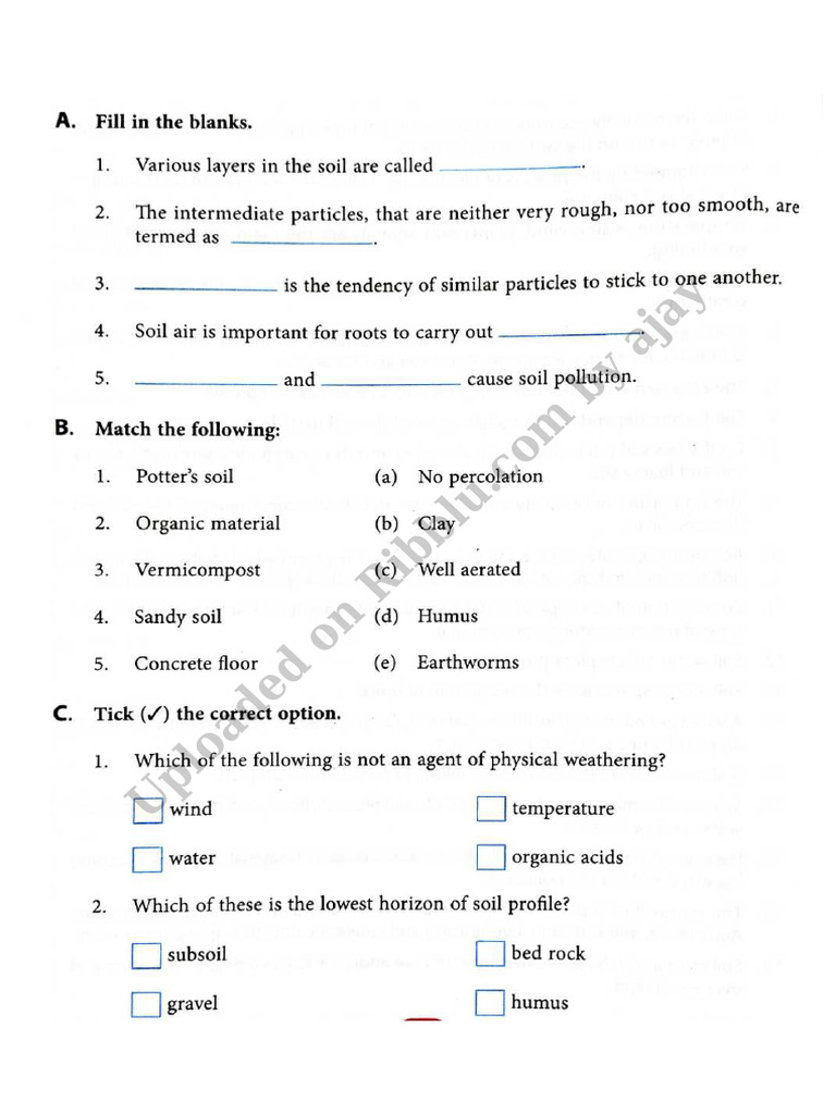 Class 7 Science Soil Worksheet PDF | PDF