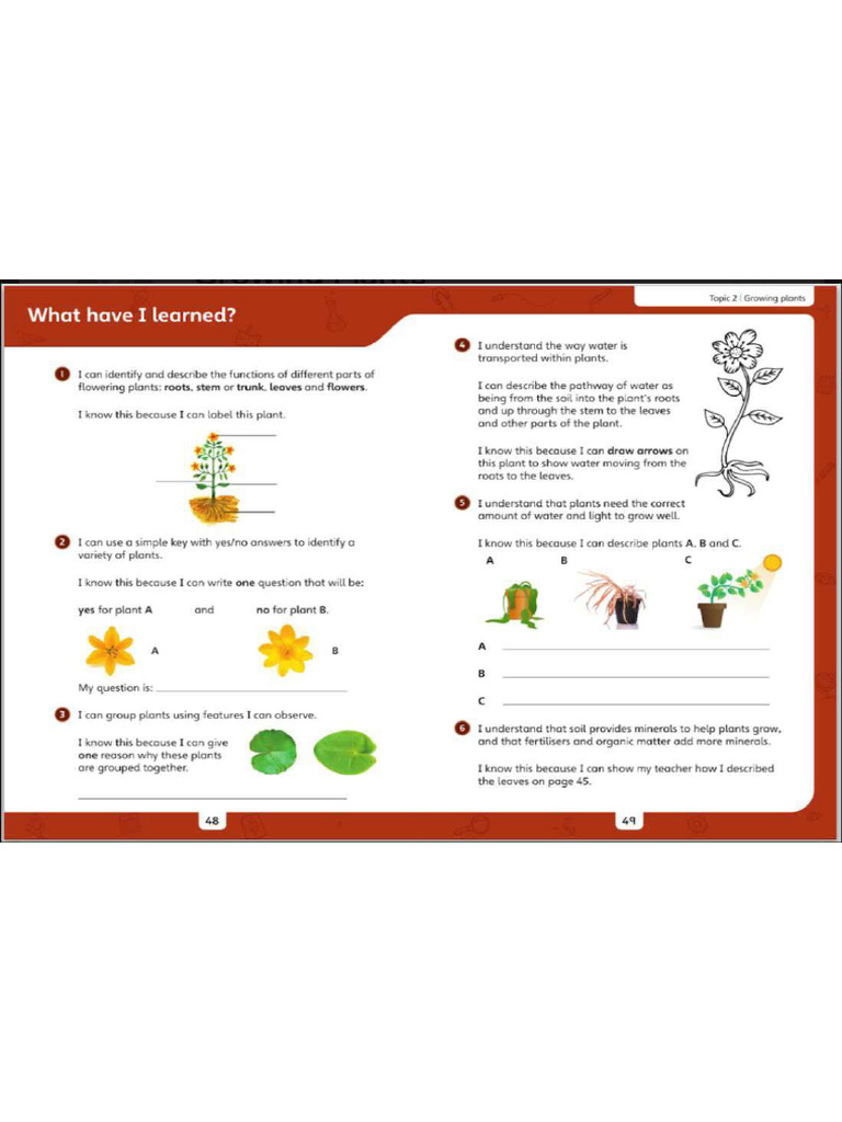 Plants need water | PDF