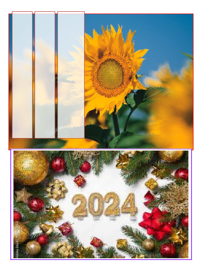 Benjamin Family's Bible Quize - 2024 | PDF | Book Of Deuteronomy | The Exodus