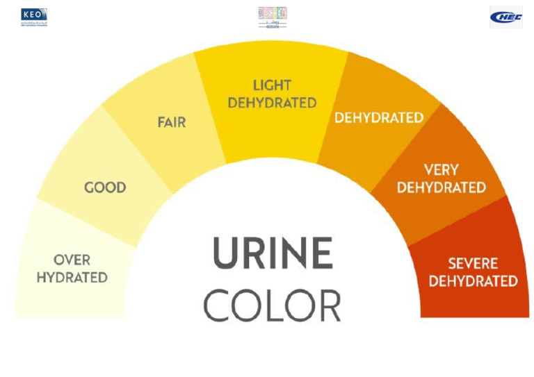 Urine chart | PDF
