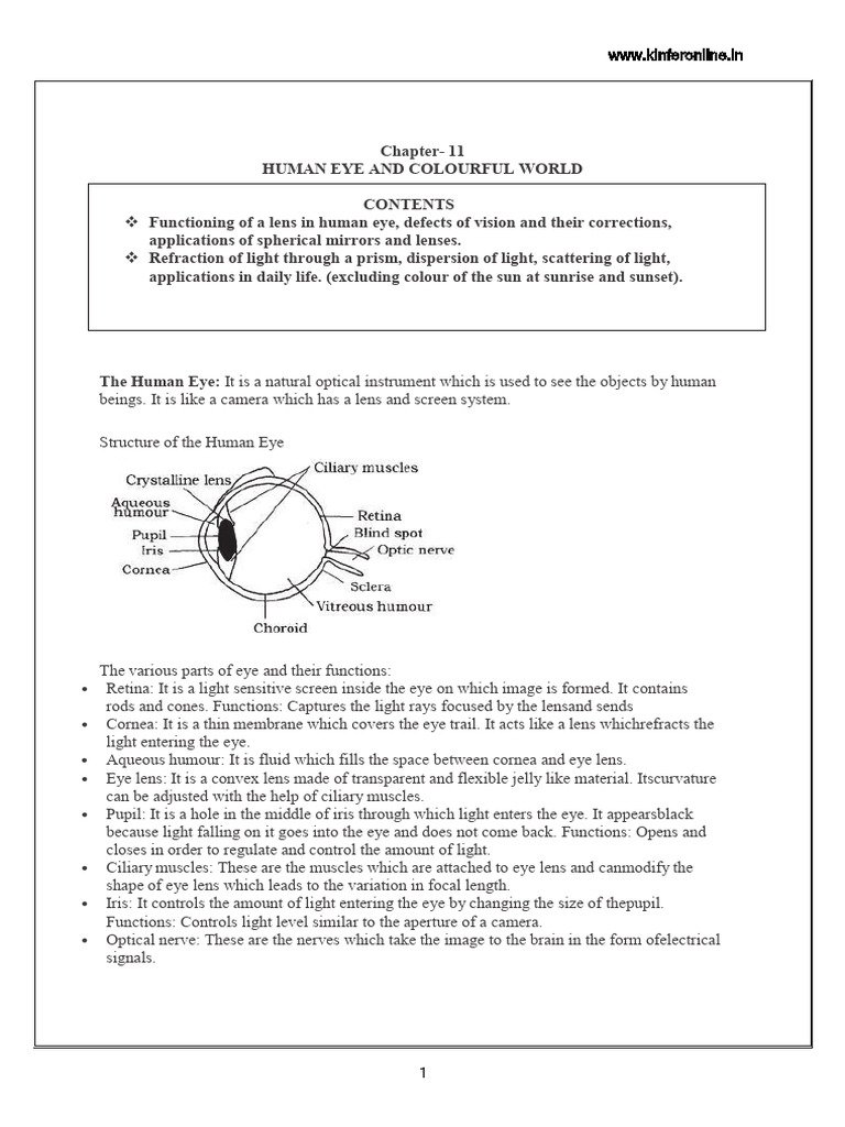 Ch- 11 HUMAN EYE AND COLOURFUL WORLD | PDF | Eye | Rainbow