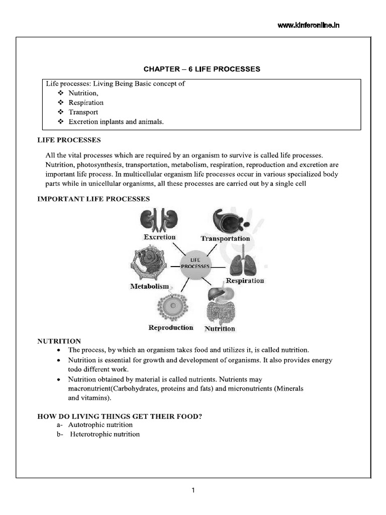 CH - 6 LIFE PROCESSES | PDF