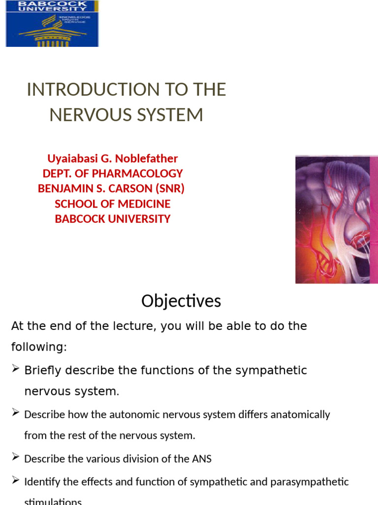 Introduction To ANS 2024 | PDF | Neurotransmitter | Autonomic Nervous System