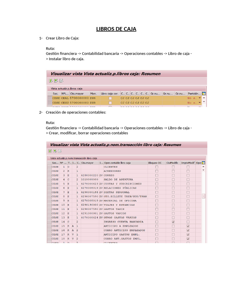 Crear Libro de Caja | PDF