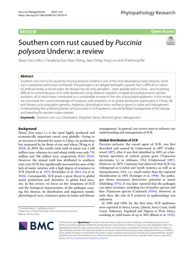 Southern Corn Rust Caused by Puccinia Polysora Und | PDF | Quantitative ...