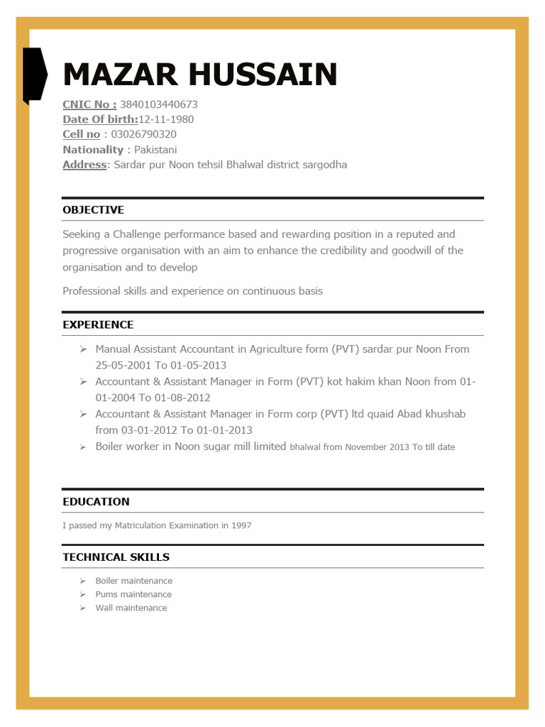 Mazar Hussain: Accountant & Technician Profile | PDF