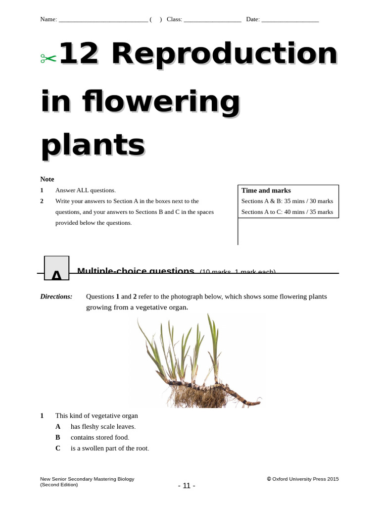 test_2_ch12_e 2 | PDF | Flowers | Plant Reproduction