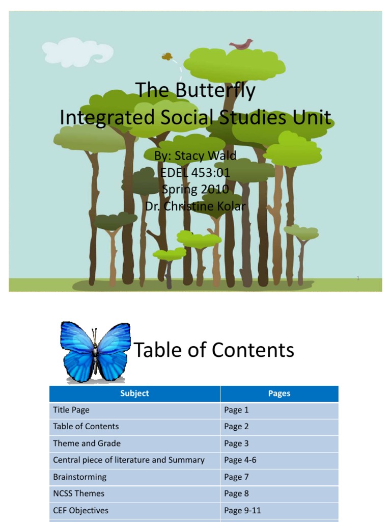 The Butterfly | PDF | Symmetry | Vocabulary