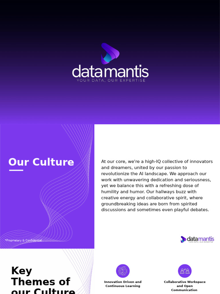 DataMantis_OurCulture_V1.2 | PDF | Innovation | Creativity