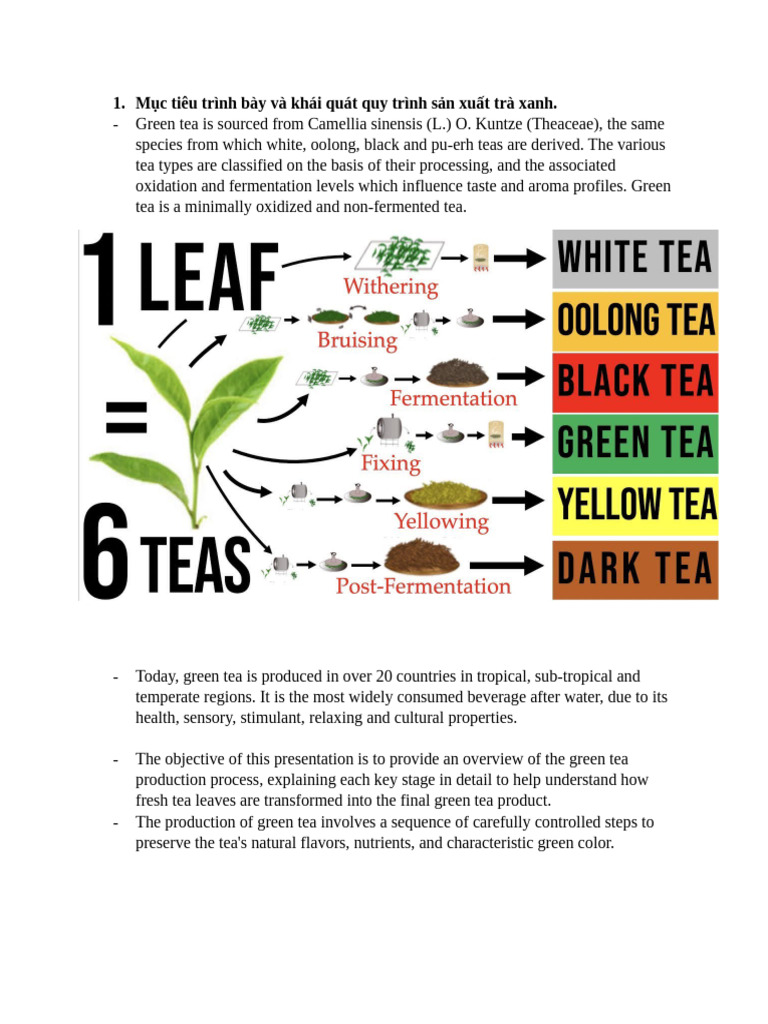 Document 1 | PDF | Tea | Packaging And Labeling