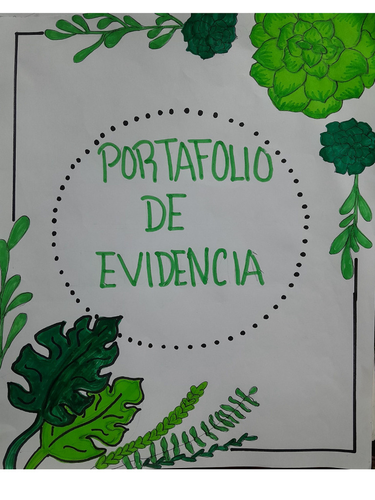 Portafolio de Evidencia | PDF