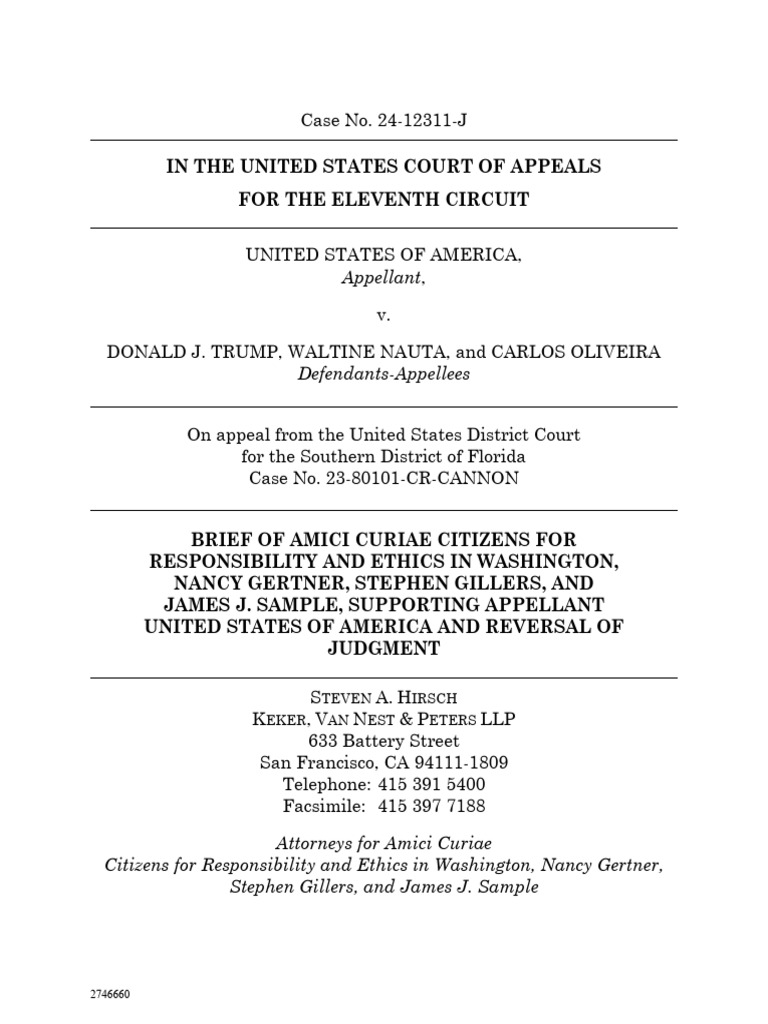 James-Sample-Amicus-Brief-Case-No-24_12311_J | PDF | Special Master ...