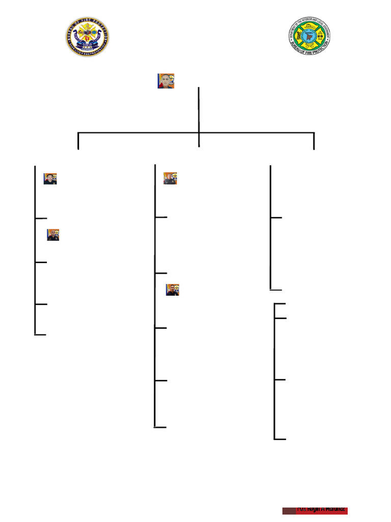 NEW Organizational Chart | PDF