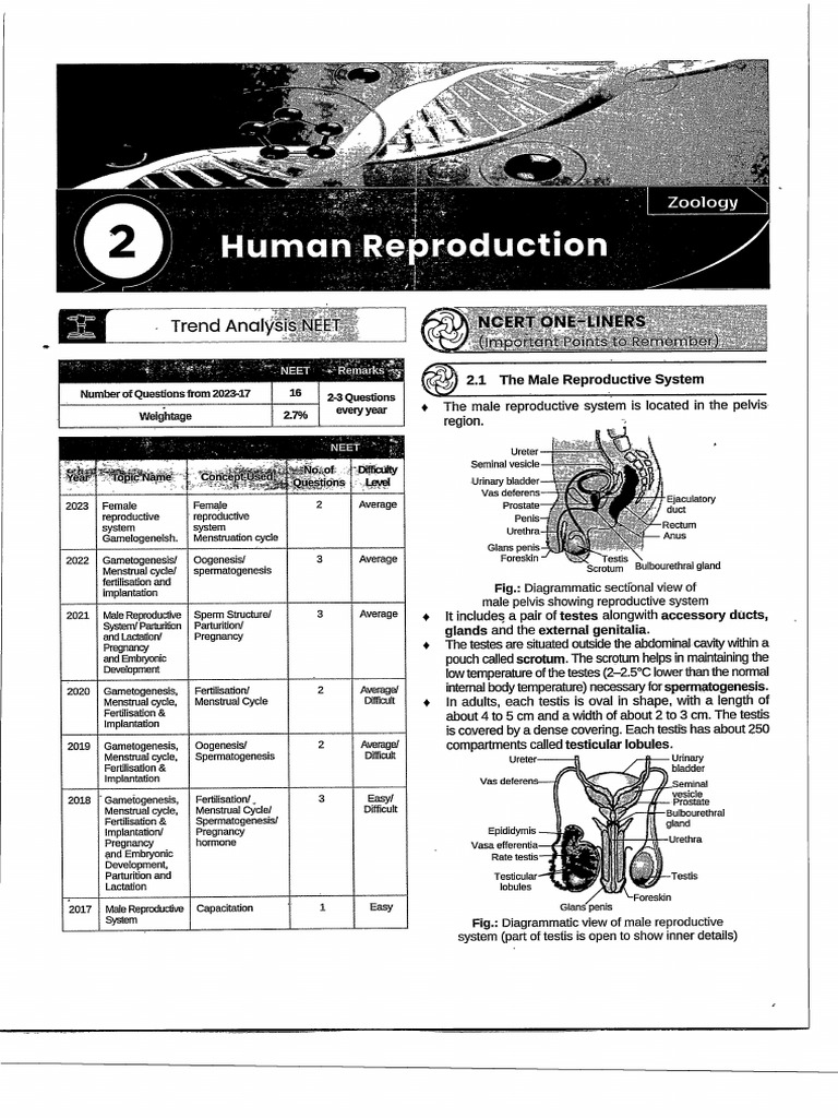 Edoc 2934 22449 | PDF
