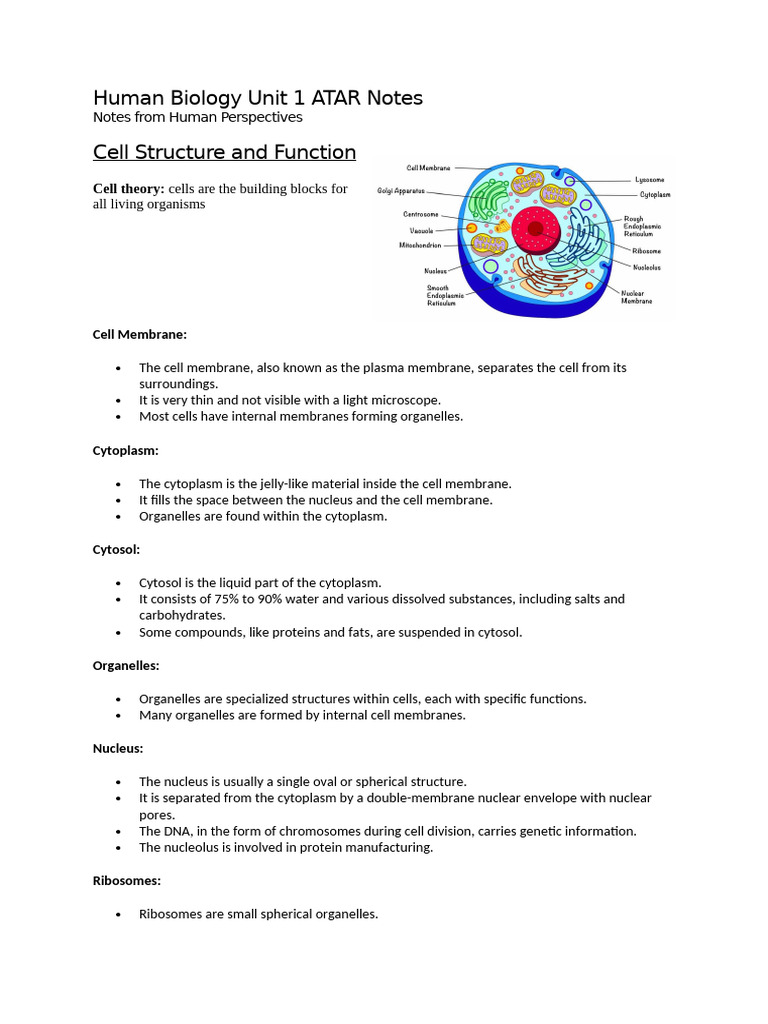 Human Biology Unit 1 ATAR Notes | PDF | Cellular Respiration | Atrium ...