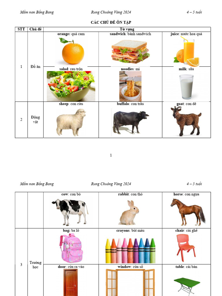 4-5T - RCV - 2024 | PDF