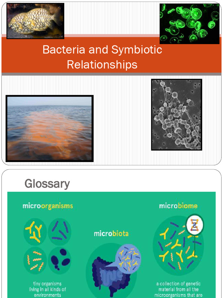 Chap - 3 - Microbes Interactions | PDF | Microbiota | Microorganism