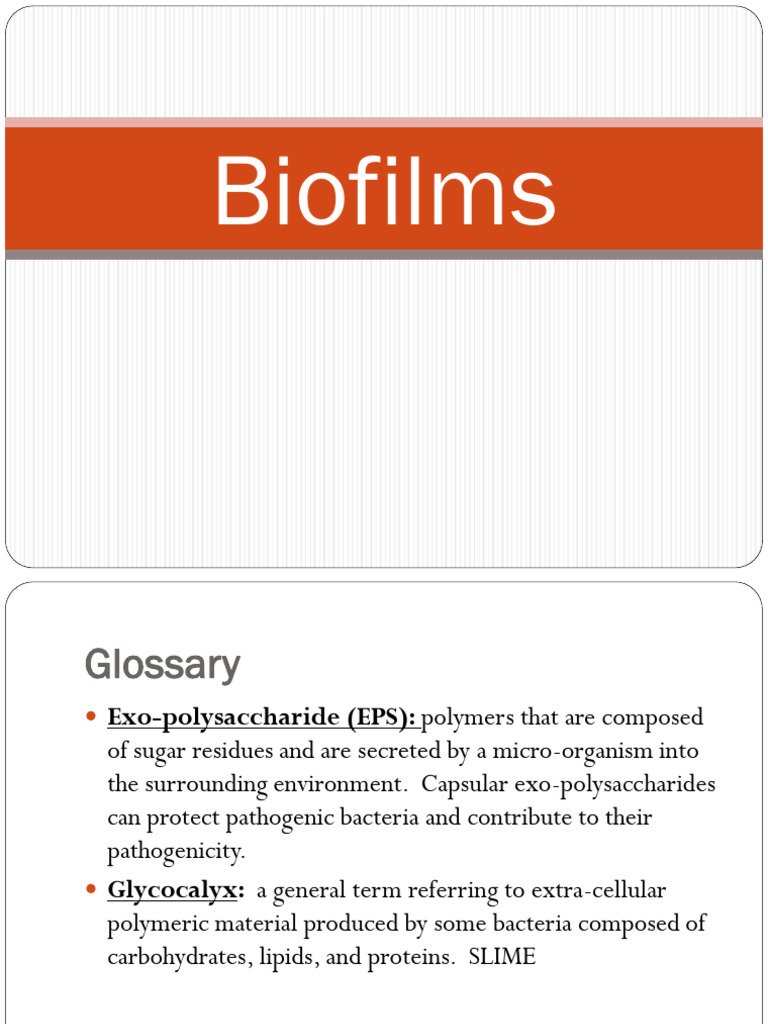 chap_3_Biofilms | PDF | Biofilm | Bacteria