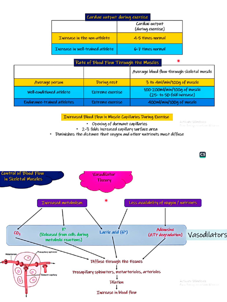 CHP 21 Circulation by Medical Gateway. (A.j) | PDF