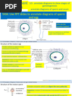 Oogenesis PPT-1 | PDF | Meiosis | Ovary