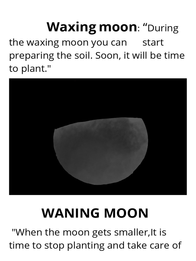 The Moon Phases PDF | PDF