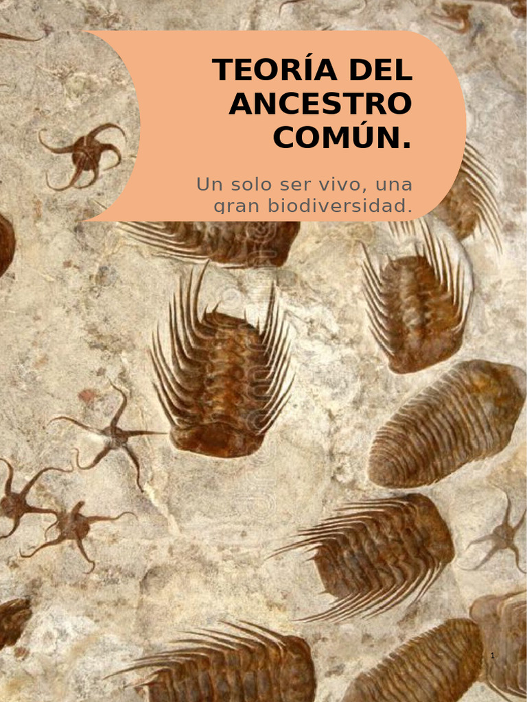 Teoría Del Ancestro Común | PDF | Evolución | Charles Darwin