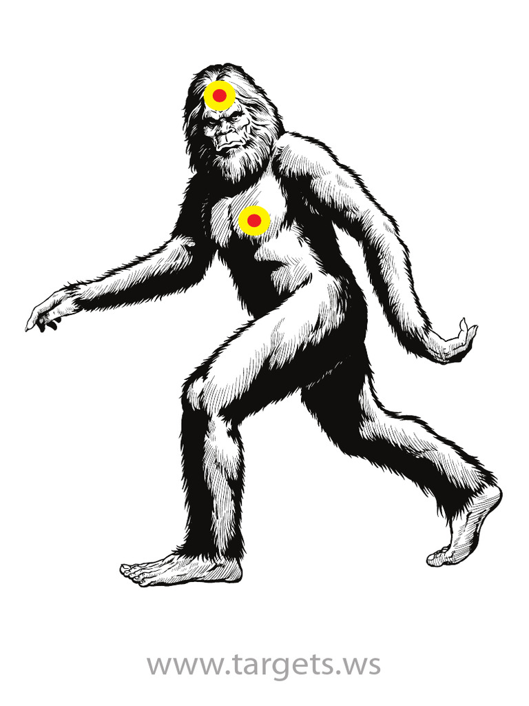 Bigfoot Target 2 A4 | PDF