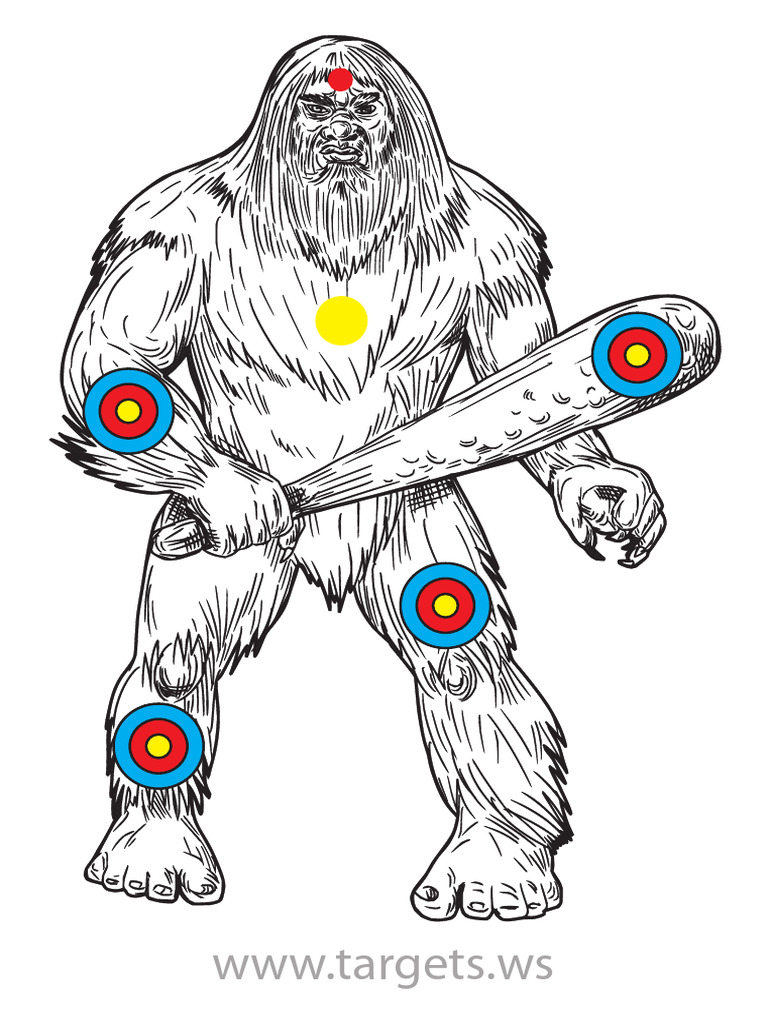 Bigfoot Target 3 A4 | PDF