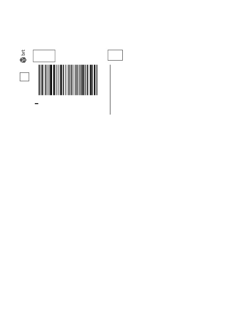 Vinted-Label-4514728869 | PDF