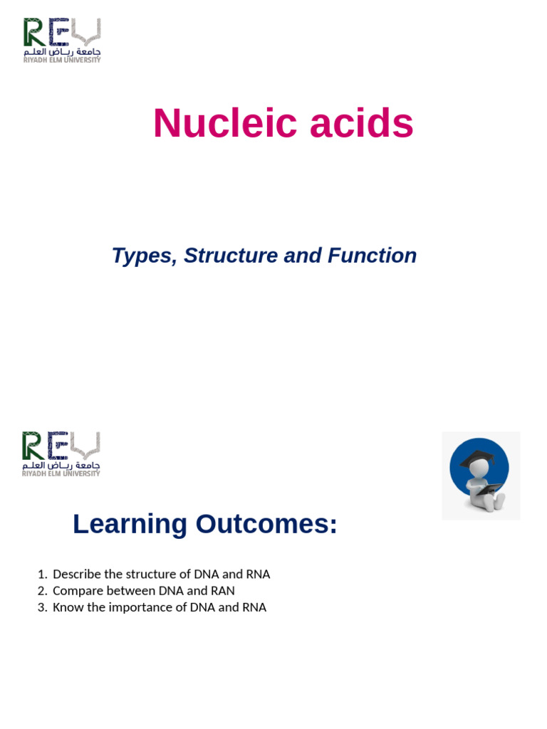 DNA & RNA: Structure, Function, Differences | PDF | Nucleic Acids | Rna
